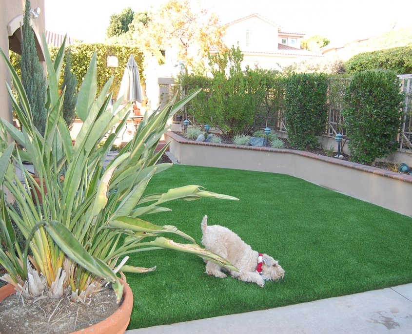 Artificial Pet Turf System - Everlast Turf